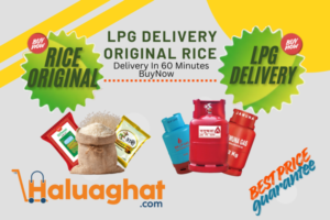 Haluaghat.com